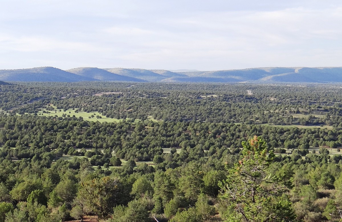 Sierra Verde Ranch Archives - SeligmanAZ.us